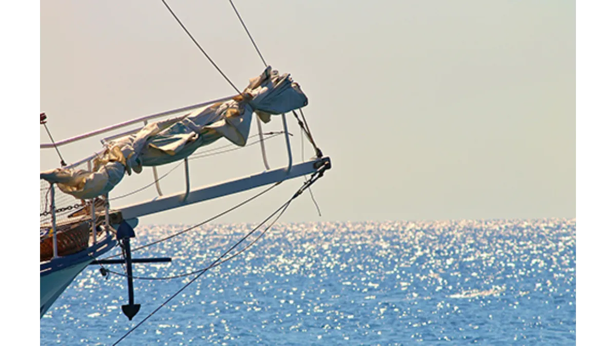 Segel setzen für 2021 - Alle Infos ansehen